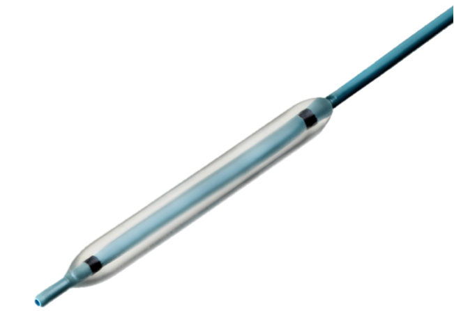 BOSTON SCIENTIFIC - Siusa México